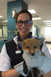 Forest Veterinary Clinic ON | Forest Veterinary Clinic